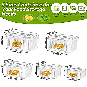 Fruit Storage Containers for Fridge - 10-Piece Kitchen Organizers Leak Proof Produce Saver and Veggie Storage Bins Set for Refrigerator, Plastic Airtight Food Storage Containers with Lids & Handle