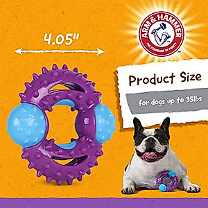 Arm & Hammer for Pets Nubbies Orion Dog Dental Toy| Best Dog Chew Toy for Moderate Chewers | Dog Dental Toy Helps Reduce Plaque & Tartar Without Brushing (Pack of 1)