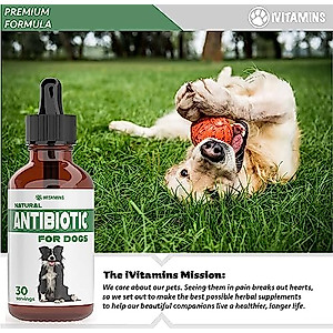 Natural Antibiotics for Dogs | Dog Antibiotics | Supports Dog Allergy Relief | Dog Itch Relief | Dog Allergy Support | Dog Multivitamin | Pet Antibiotics | Dog Antibiotic | 2 Pack: 60 Servings Total