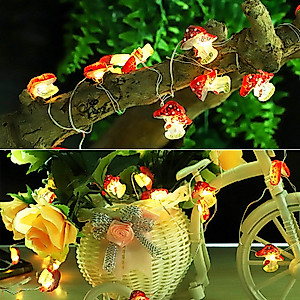 SEMILITS Outdoor Solar String Lights 30LED 21Ft Waterproof Solar Powered Seashell String Lights for Garden Yard Patio Christmas Decorations Warm White