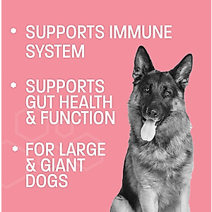 Pet Health Pros Dog Probiotic Chews for Dogs - Support Healthy Digestion Dog Probiotics and Digestive Enzymes for Gut Health for Dogs - for Traveling, Kenneling and Training - Large/Giant Dog - 30 ct