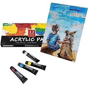 FIXSMITH 8 X 10 Inch White Stretched Canvases 12 Pack & Artist Quality Acrylic Paint Set, 12 Colors/Tubes (12 ml/0.41 oz.)