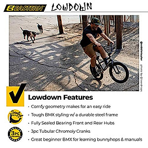 Eastern Bikes Eastern BMX Bikes - Lowdown Model 20 Inch Bike. Lightweight Freestyle Bike Designed by Professional BMX Riders at (Black & Camo)