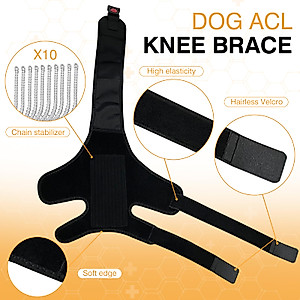 Dog Knee Brace Dog ACL Brace Hind Leg Dog Knee Brace for Torn ACL Hind Leg with Side Stabilizer ACL Brace for Dogs Pain Relief Dog ACL Knee Brace Extra Support Treats Kneecap Dislocation Arthritis-L