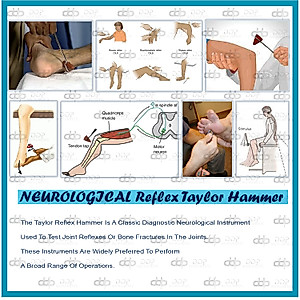 DDP Taylor Hammer 20CM/8" RED