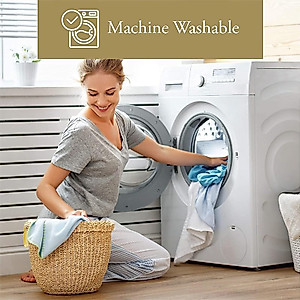 Soft Bed Collection Wrinkle Free Fade Resistant 3 PC Duvet Cover Set + 24" Inch Deep Pocket Fitted Sheet 800 Thread Count Egyptian Cotton Queen Size Black Solid