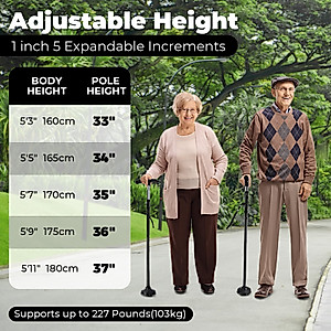 Walking Cane with LED Light: Ohuhu Folding Cane for Men Women Foldable Walking Stick with Strap Portable Adjustable Lightweight Free Standing Canes with Carrying Bag for Fathers Mothers
