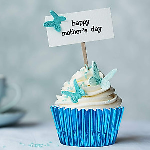 400 Pieces Mini Foil Metallic Cupcake Liners Muffin Paper Cases Baking Cups Colored Cupcake Liner for Holiday Wedding Birthday Party Baby Showers (10 Colors)