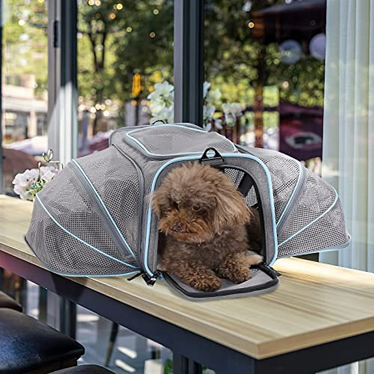 Petsfit Expandable Cat Carriers Small Dog Carrier, Airline Approved Soft-Sided Portable Washable Pet Travel Carrier with Two Extension for Kittens,Puppies,Rabbits