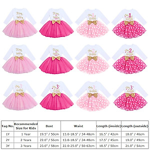 Winter Birthday Outfit Girl My Third Birthday Mini Dress Up Cake Smash Outfit Toddler Baby Tulle Tutu Skirt Long Sleeve Mouse 3rd Birthday Party Supply Three Years Old Photo Props Polka Dots Pink