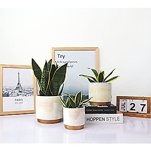 Gepege White Indoor Pots for Plants, Ceramic Planter with Drainage Hole, 6.0 inch+5.0 Inch+4.0 Inch. Succulent Orchid Flower Pot - Rainbow Pearl Glaze