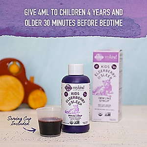 Garden of Life Elderberry Immune Support for Kids with Zinc, Vitamin C - mykind Organics Kids Elderberry & Sleep Immune Syrup Liquid, Bedtime Herbs for Children, No Alcohol, No Added Sugar, 3.92 fl oz