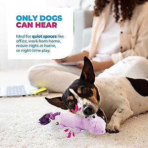 ALL FOR PAWS Ultrasonic Silent Squeaker Dog Toy, Quiet Puppy Toy Comfort Plush Toy Dog Cuddle Toys, Squeakerless Dog Toy with Cute Animal Designs, Ideal for Home and Office