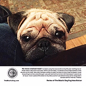 The Blissful Dog Fawn Pug Nose Butter – Dog Nose Butter, 4 Ounce