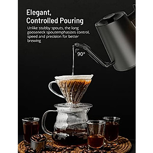 Paris Rhône Gooseneck Electric Kettle, Temperature Variable Electric Kettle for Coffee Tea Brewing, 0.9L Stainless Steel Tea Kettle, 1H Temperature Holding, Built-in Stopwatch for Gift