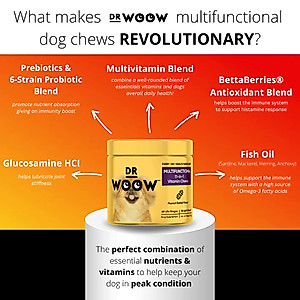 Dr Woow Multivitamins for Dogs - Everyday Vitamins for Dogs | Gut Immune Health, Joint Heart Eye Support | Dog Supplements Glucosamine Chondroitin, Digestion Probiotics, Omega 3 Fish Oil | 90 Ct