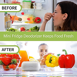 Mini Fridge Deodorizer, 2 Modes Refrigerator Odor Eliminator, Portable Rechargeable Deodorizer Reusable, Antifreeze Design Ozone Sterilizer for Fridge, Wardrobe, Cabinet, Car
