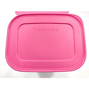 Tupperware Freezer Mate Plastic Container for Fridge and Freezer, 1.1 LTR (Set of 2) with Free Handkerchief