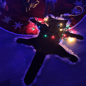 Light Up Fried Cat Rug, Funny Aunt Bethany’s Fried Pussycat Rug from National Lampoon’s Humour Christmas Vacation Decoration Carpet, Christmas Lights Decoration for Family Friends