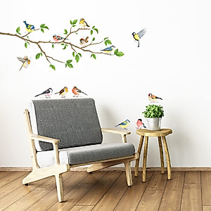 DECOWALL DWL-1804N Garden Birds on Tree Branch Kids Wall Stickers Wall Decals Peel and Stick Removable Wall Stickers for Kids Nursery Bedroom Living Room décor