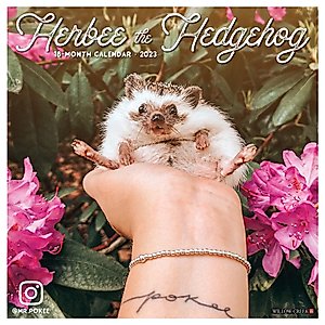 Herbee the Hedgehog 2023 Wall Calendar