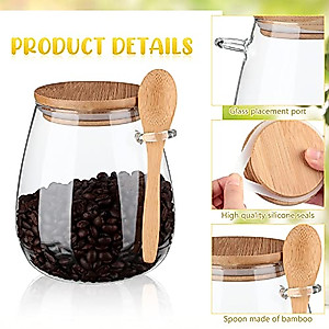 Hoolerry Set of 2 Airtight Glass Jars with Bamboo Lids and Spoons 34 oz Borosilicate Glass Canisters Overnight Oats Jar Storage Container for Kitchen Coffee Bean Tea Leaves Flour Sugar