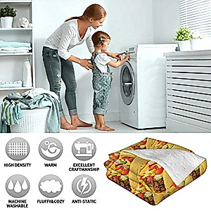 Taco Blanket Throw, Funny Food Blanket Gift for Daughter and Son, Ultra Soft Lightweight Flannel Fleece Micro Blanket for Couch Home Bed Sofa Travel Chairs 30"x40" for Toddler/Little Pets