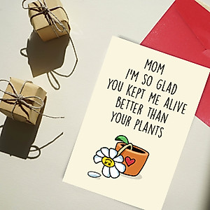 Cheerin Greeting Card with Envelope - Sweetest Day Card for Her - Romantic Birthday Card - Appreciation Card for Mom, Grandmas