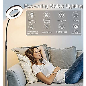 KS KINGSTAR Sofa Standing lamp Floor lamp Side Reading Lamps 3-Color Tall Standing Pole Light with Remote for Live Stream Learning and Reading Living Room,Bed Room,Home Office
