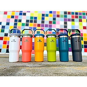 Stanley IceFlow Stainless Steel Tumbler with Straw - Vacuum Insulated Water Bottle for Home, Office or Car - Reusable Cup with Straw Leakproof Flip - Cold for 12 Hours or Iced for 2 Days (Polar)