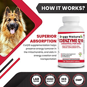 Coenzyme Q10 High Potency COQ10-40mg UBIQUINOL for Dogs (120 Tabs) Made in U.S.A. CoQ10 for Dogs