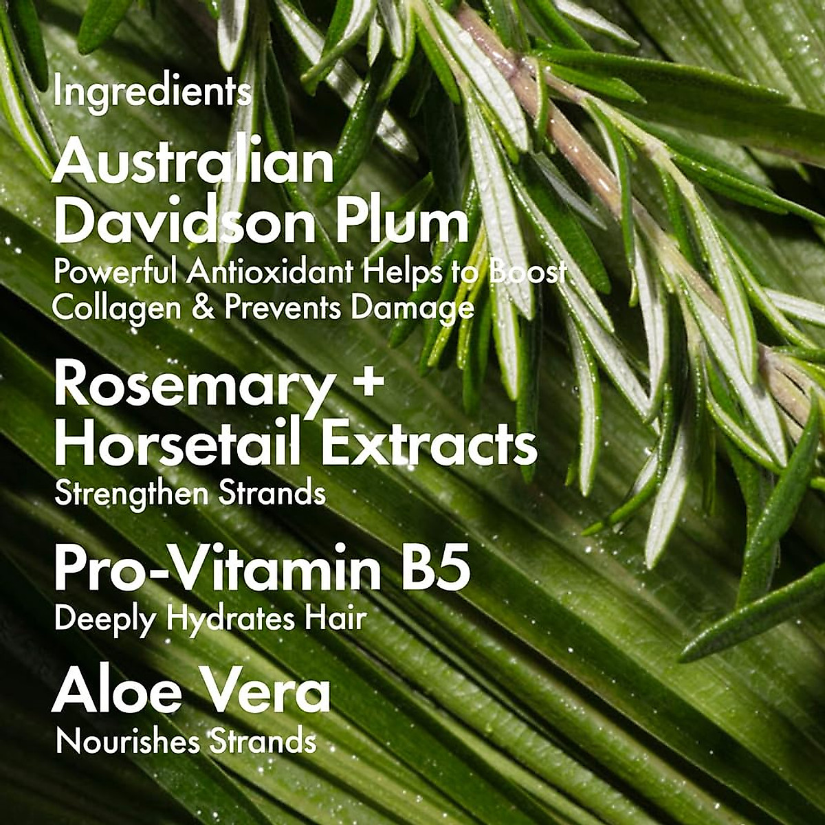 BondiBoost Heat Protectant Spray 4.23 fl oz - Thermal Hair Protection from Heat Styling - Light Weight Formula - Sulfate + Paraben Free, for Women + Men - Vegan/Cruelty-Free - Australian Made