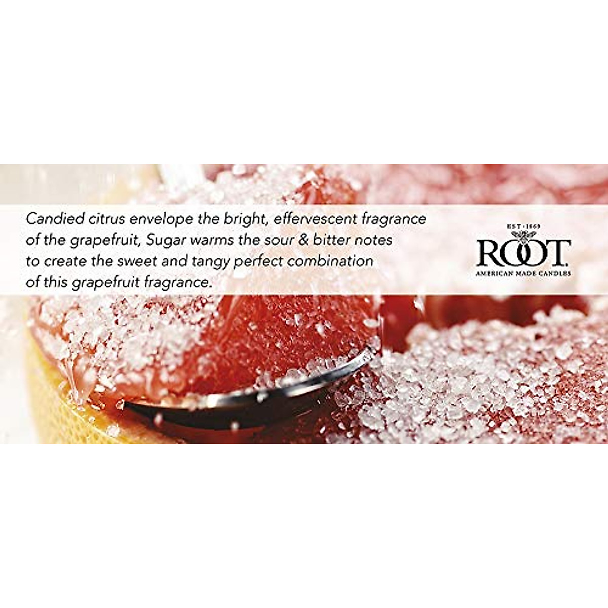 Root Candles 8870296 Honeycomb Veriglass Scented Beeswax Blend Candle, Large, Sugared Grapefruit