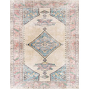 Artistic Weavers Yolanda Vintage Medallion Area Rug,7'10" x 10'2", Sky Blue/Orange
