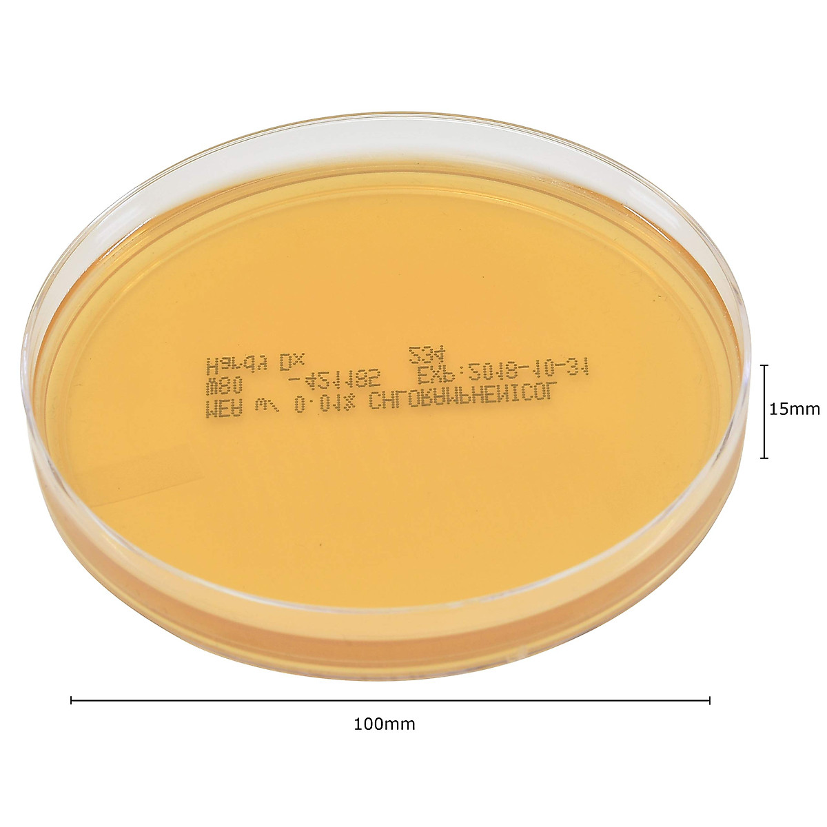 Malt Extract Agar with 0.01% Chloramphenicol, deep fill, for the cultivation, isolation, and maintenance of yeasts and molds, 15x100mm prepoured plate, order by the package of 10, by Hardy Diagnostics