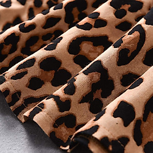 Toddler Baby Girl Long Sleeve Fall Dress Infant Denim Leopard Ruffle Dresses Cheetah Outfit, Blue, 2-3T