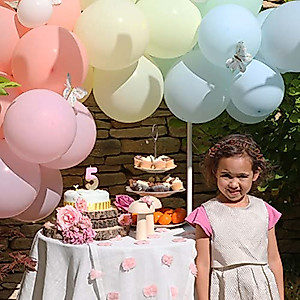 Talking Tables Truly Fairy Paper Plate with Fairy Design for a Tea Party or Birthday, Multicolor (1)