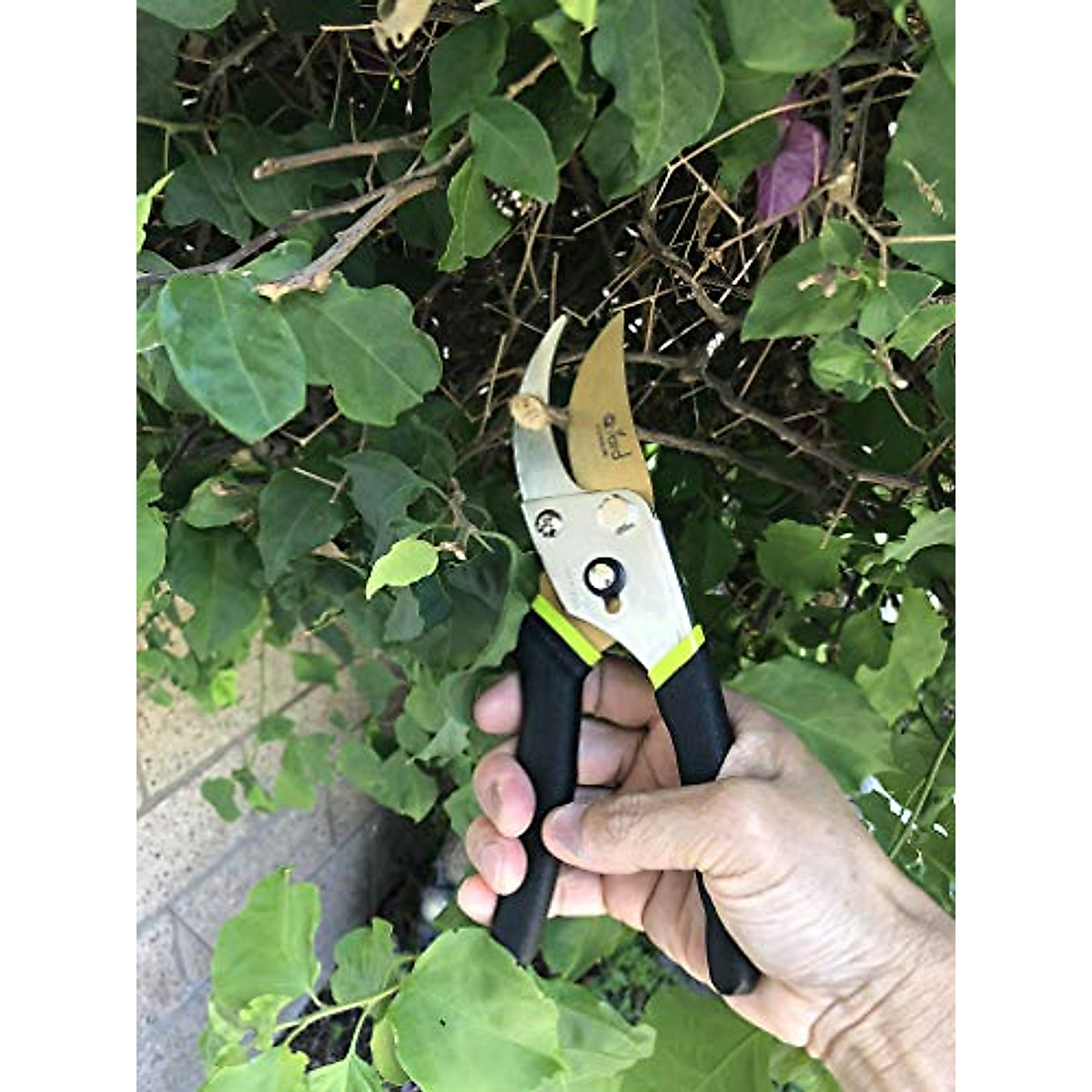 Q-yard QY-731L Traditional Bypass Pruning 8.5" Titanium Blade- Handheld Gardening Tools Shears