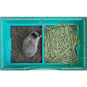 IRIS USA Large Portable Wire Rabbit Cage with Top Access and Two Tray Division, Easy Access Secure Lock and Easy to Clean Movable House for Small Sized Animals Rabbit Guinea Pigs Rat Hamster, Green