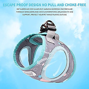 Pet Dog Harness, Walk-in Small Dog Harness and Leash Set, Soft and Non-Deformable Puppy Vest + 1.8m Dog Leash, Anti-Escape Puppy Kitten Harness, Suitable for Outdoor Walking of Cats and Small Dogs…