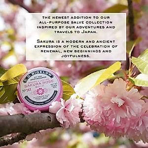 C.O. Bigelow All Purpose Salve Lip Balm Tins, Sakura Rose Salve Pack of 3 for Chapped Lips & Dry Skin - Moisturizing Lip, Cuticle and Skin Salves, 0.8 oz each