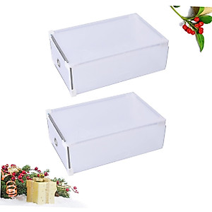 PACKOVE Shoes Organizer for Women 2 Pack Drawer Boxes for Women's Shoes Storage