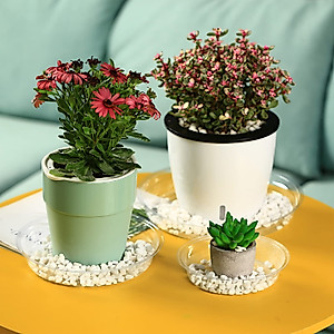 9 Pack Clear Plastic Plant Saucers (12 inch) Drip Trays Plant Plate Dish for Indoor Planters Flower Pots, Bulk