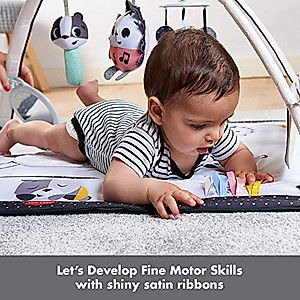 Tiny Love Black & White Gymini Infant Activity Play Mat With-Book, Magical Tales, Deluxe, 1