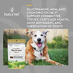 NaturVet – Senior Wellness Hip & Joint Advanced Plus Omegas | Help Support Your Pet’s Healthy Hip & Joint Function | Supports Joints, Cartilage & Connective Tissues | 120 Soft Chews