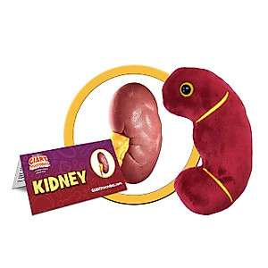 Giantmicrobes Kidney Plush, Kidney Stuffed Animal, Kidney Transplant Gifts, Kidney Donor Gifts, Kidney Pillow, Urology Gifts, Nephrology Gifts, Dialysis Nurse Gifts, Gifts For Urologist, Kidney Toy