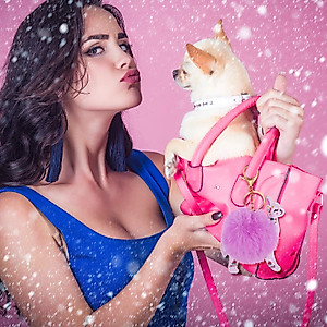 WILLBOND 6 Pieces Animal Pom Pom Keychain Cute Fluffy Ball Key Ring for Women Girls Bag Accessories(Sweet Style)