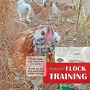 Pecking Order 9328 009328 Mealworm & Sunflower Treat, 3 lb