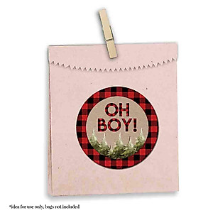 Oh Boy! Outdoorsy Red and Black Plaid Lumberjack Baby Sprinkle Baby Shower for Boys Thank You Sticker Labels, 40 2" Party Circle Stickers by AmandaCreation, Great for Party Favors, Envelope Seals & Go