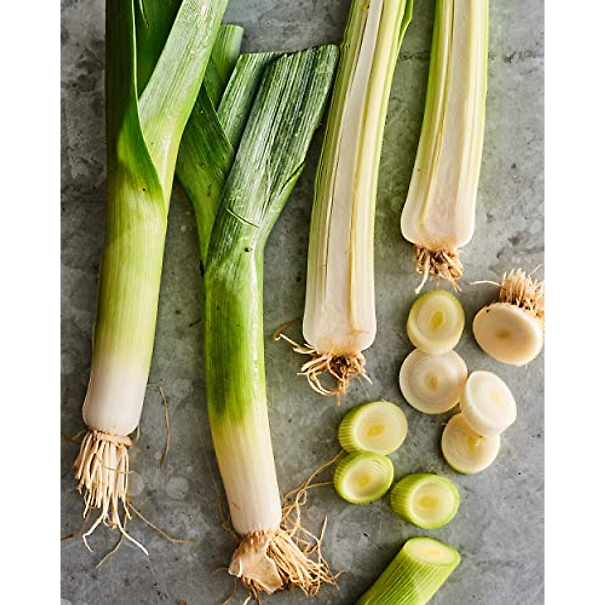 Gaea's Blessing Seeds - Leek Seeds - Non-GMO American Flag Leek Seeds with Easy to Follow Planting Instructions - 90% Germination Rate
